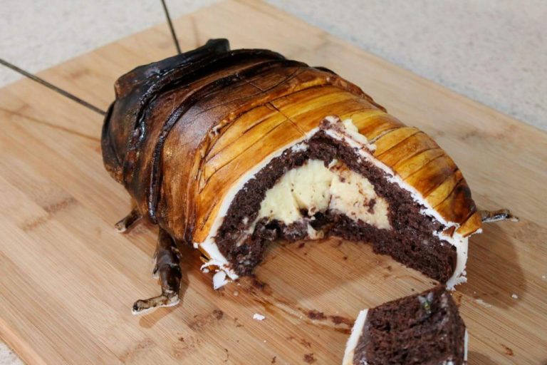 Is this the biggest cockroach in the world? | Pest Professionals